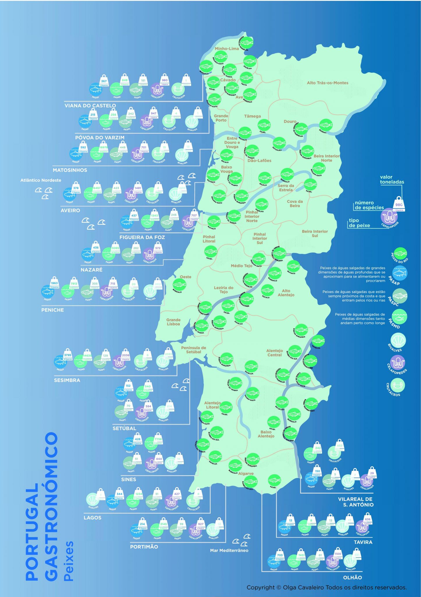 Peixes - Ao Sabor de Portugal